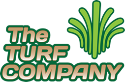 The Turf Company - Supporting Habitat Since Day One - Habitat Stories ...